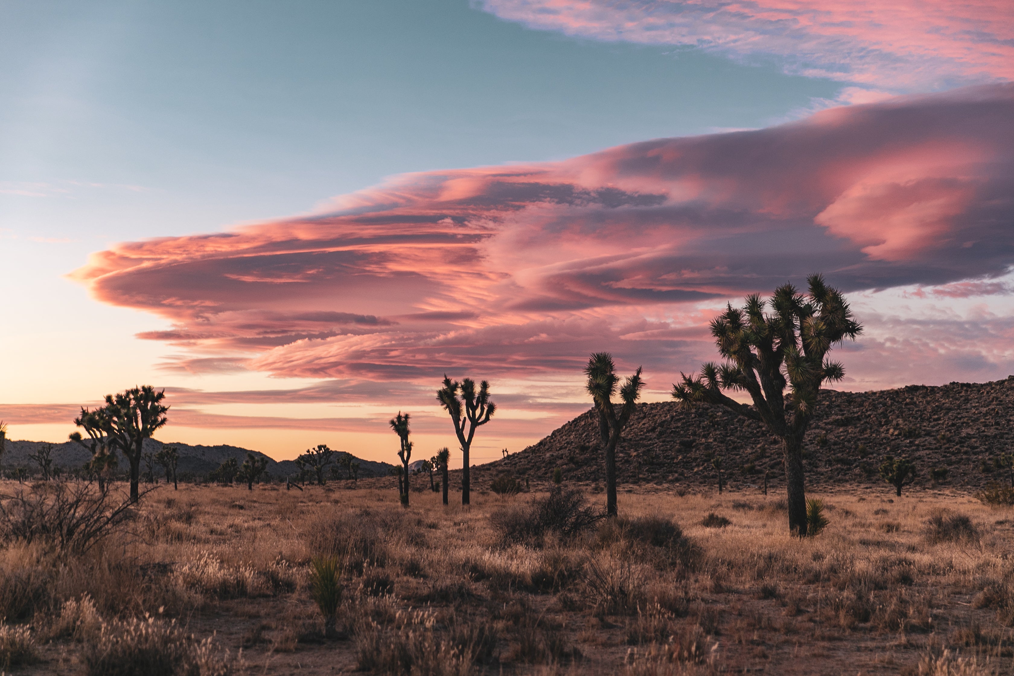 How To Travel In 2021 – Coalatree